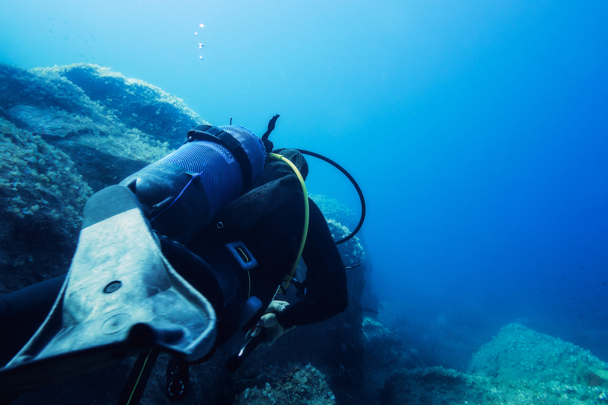 What is the Divers Alert Network (DAN)? - DiverTown