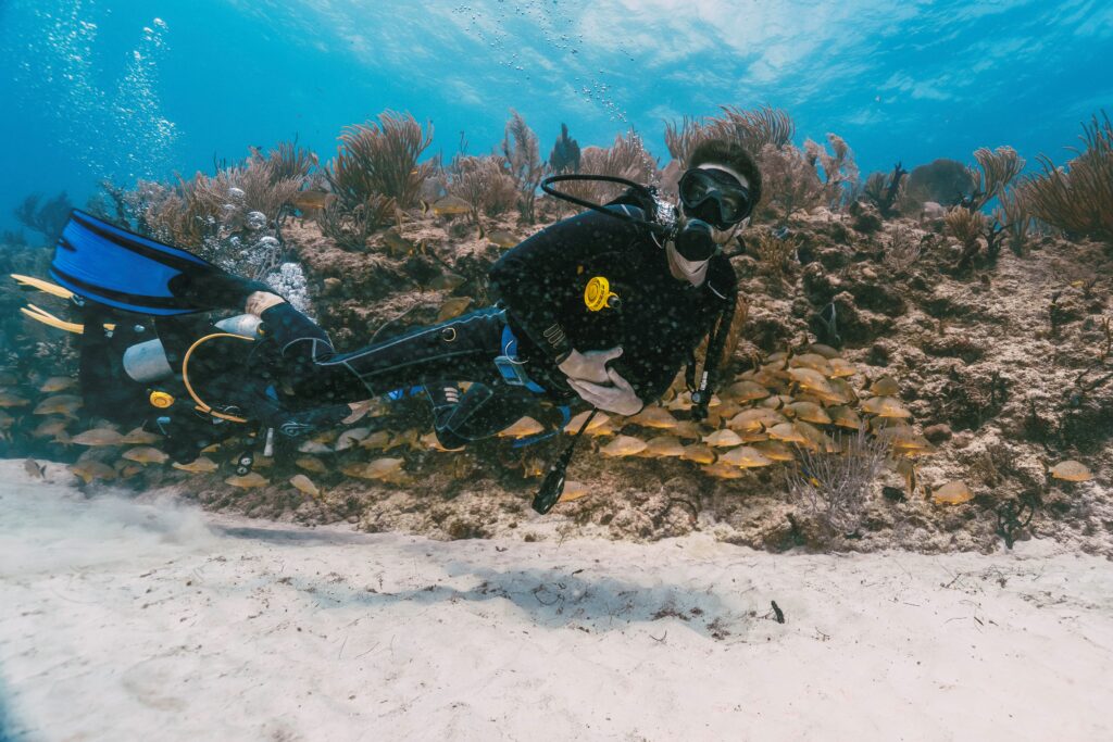 What is a Buoyancy Control Device (BCD)? - DiverTown