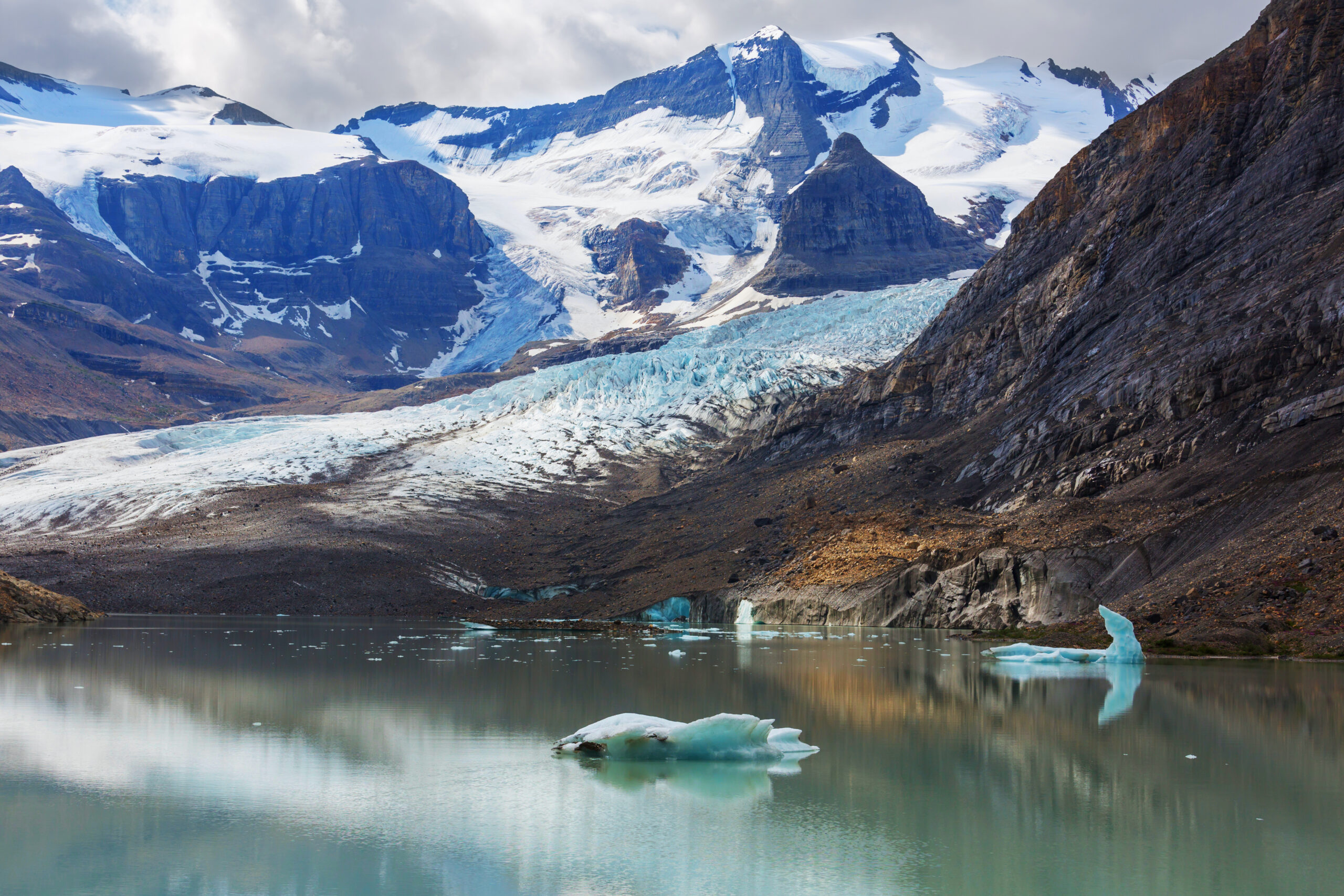 Scuba Divers’ Travel Guide to Canada - DiverTown