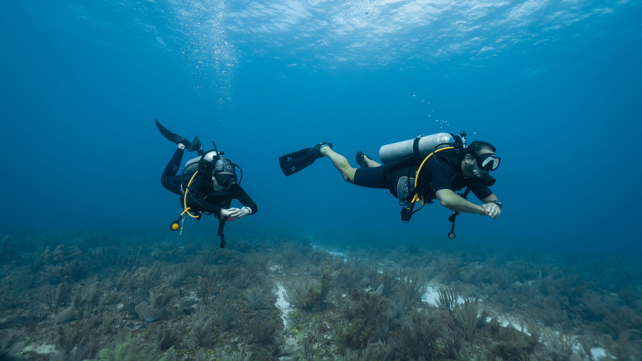 What is scuba diving like? - Unraveling the Mystique of Scuba Diving ... What is scuba diving like? - Unraveling the Mystique of Scuba Diving ...