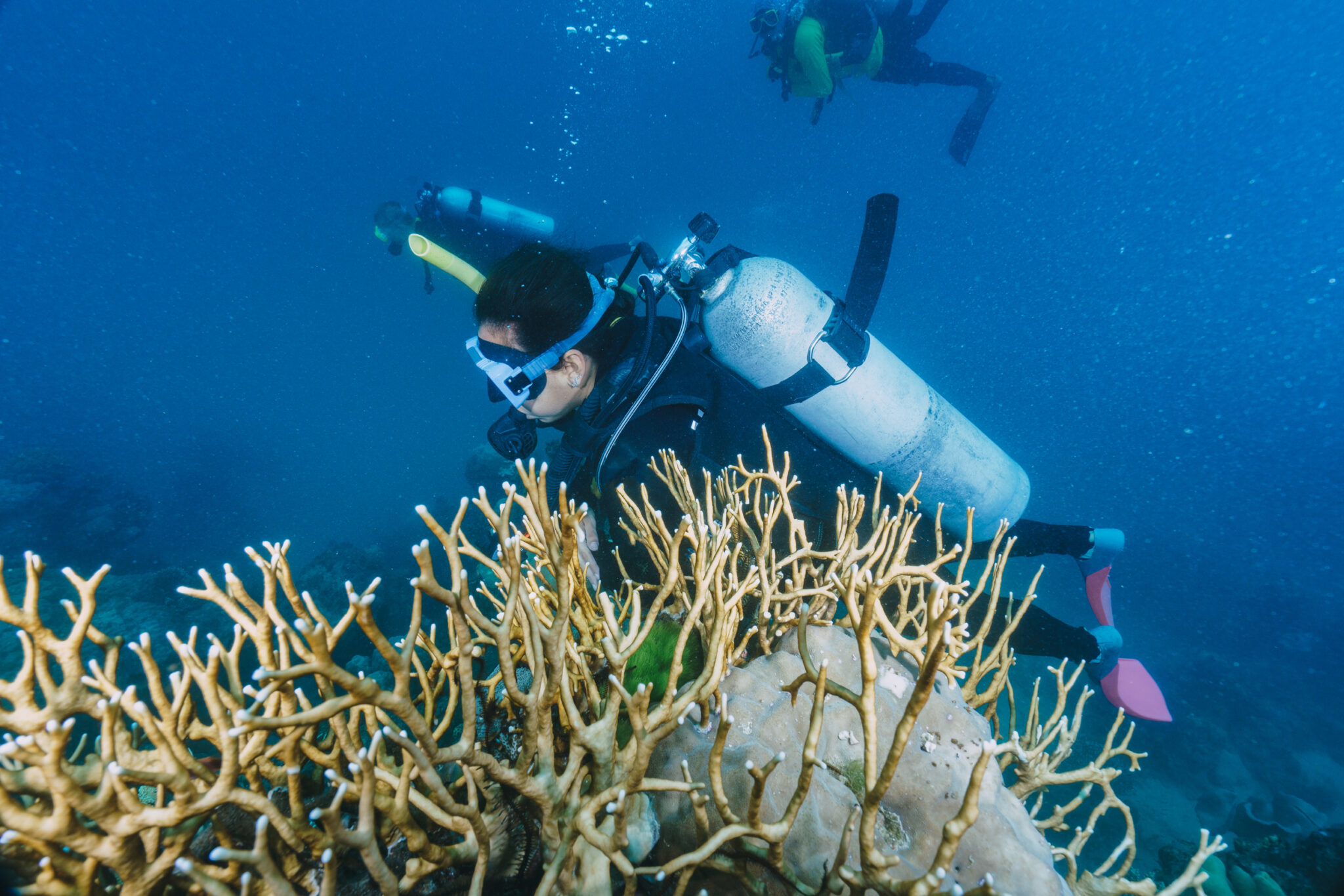 What is Thermocline when Diving? - DiverTown