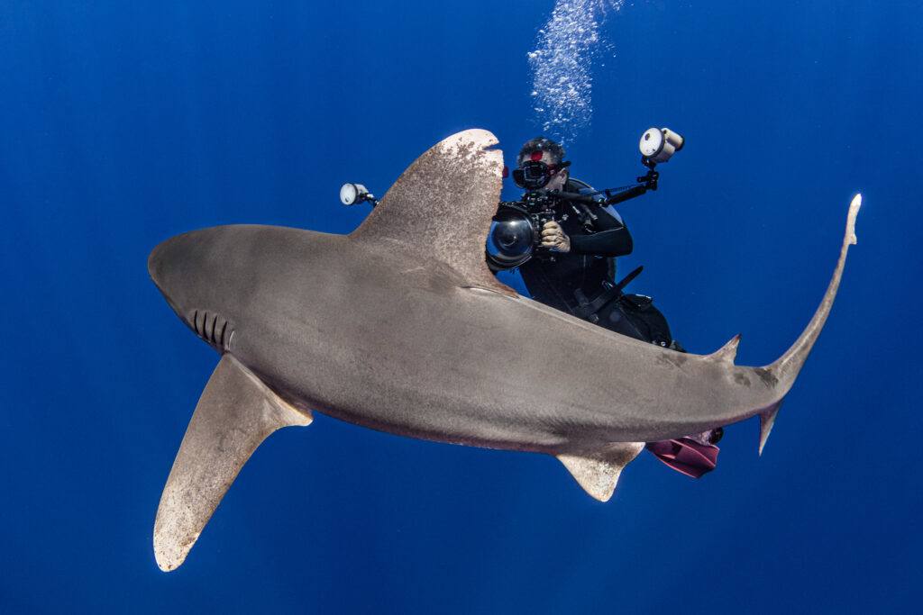 What is Macro Photography in Scuba Diving? - DiverTown