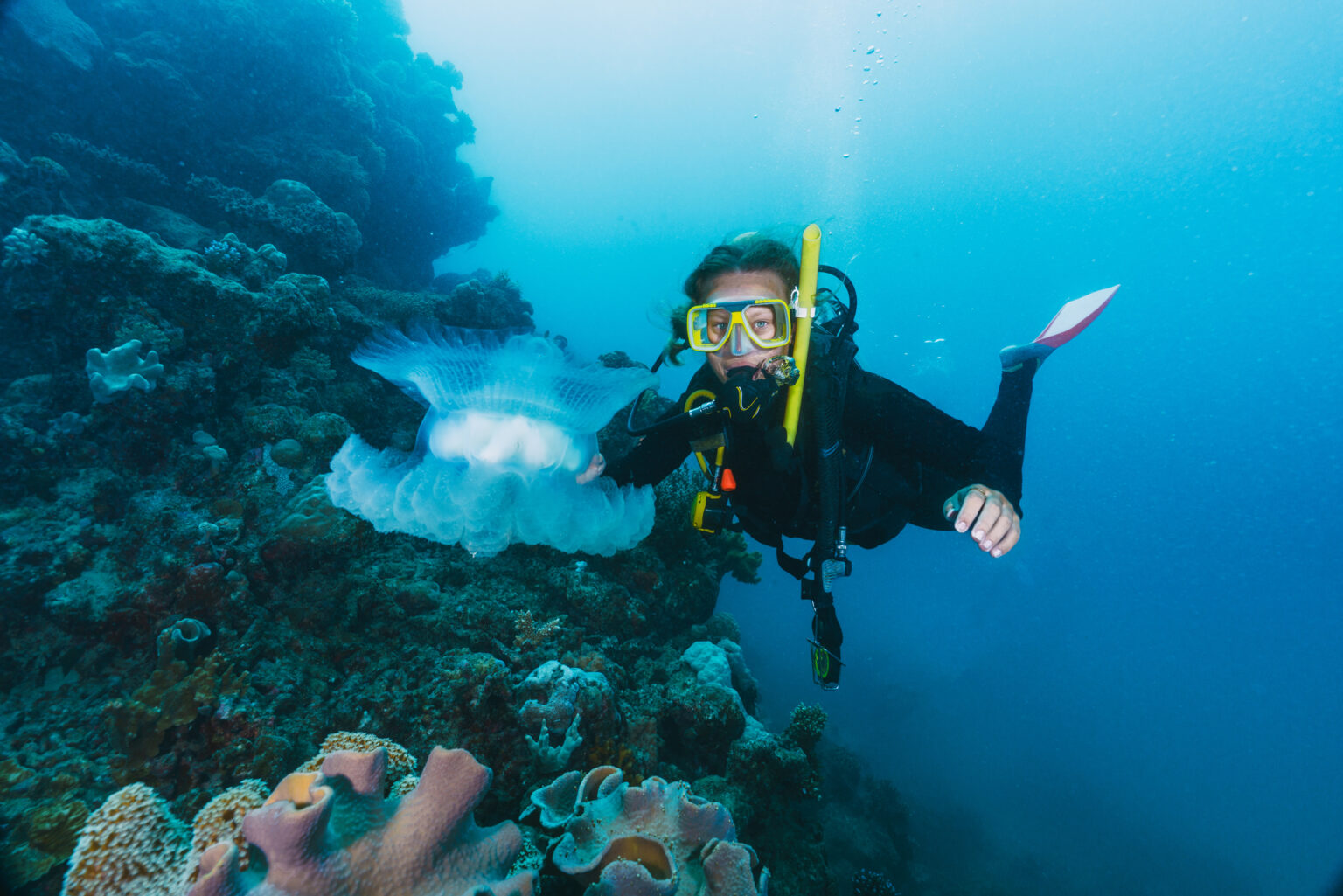 What is an Atmospheric Diving Suit? - DiverTown