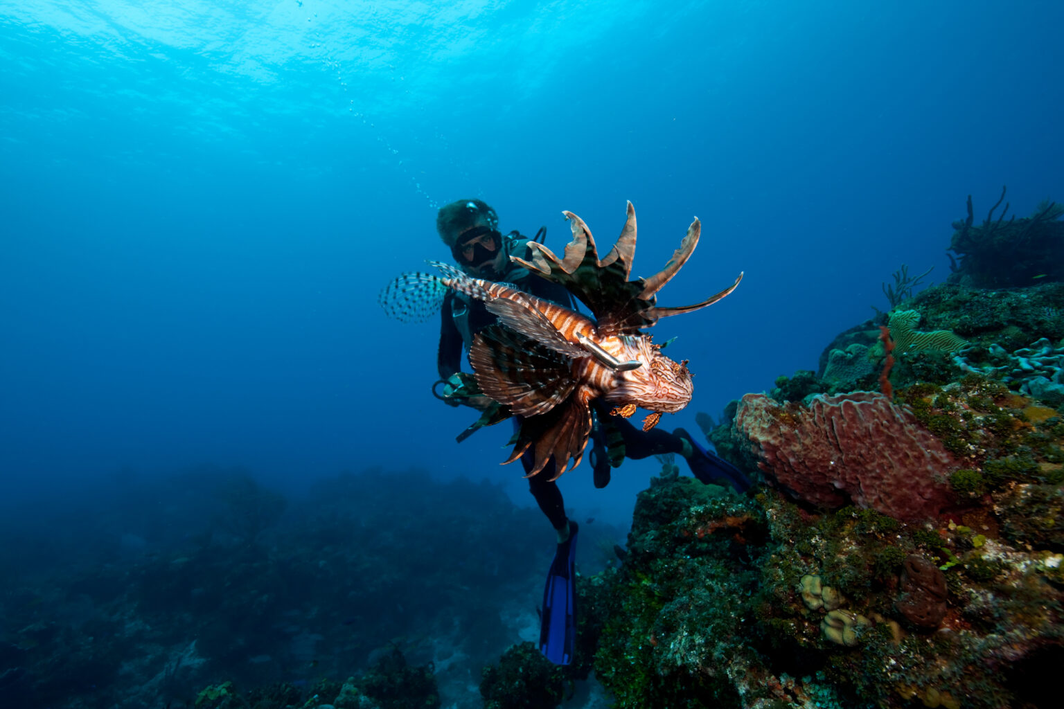 What is an Electronic Closed Circuit Rebreather? - DiverTown