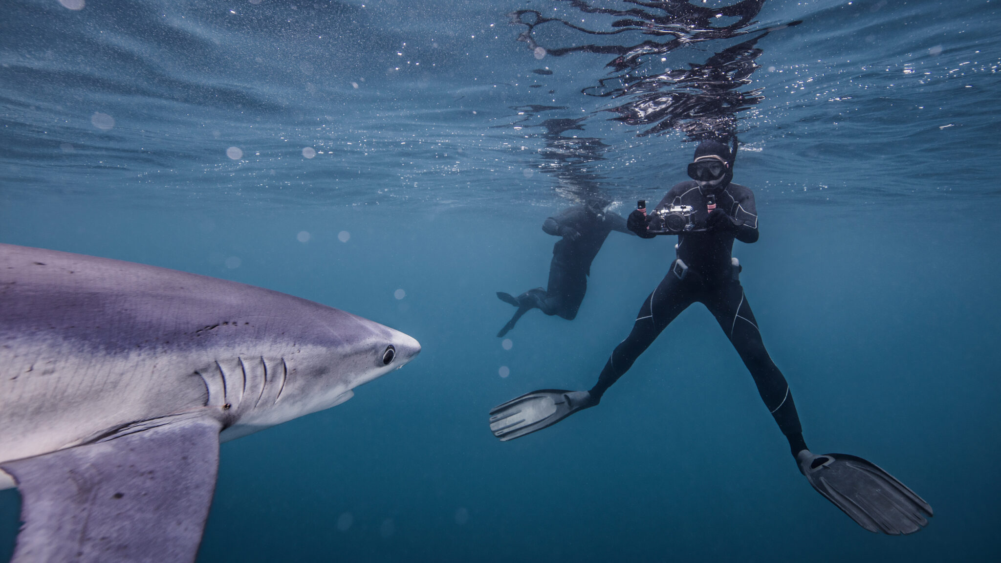 What is an Electro Galvanic Fuel Cell (EGFC)? - DiverTown