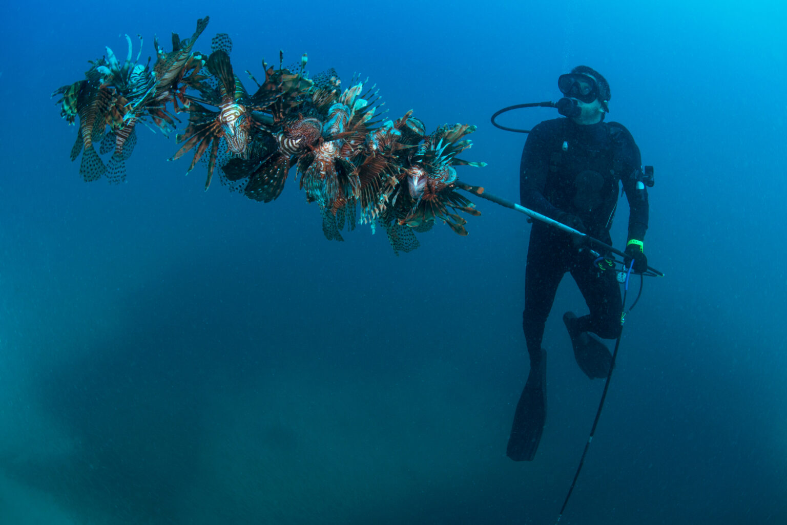 What is a Frog Kick? - DiverTown