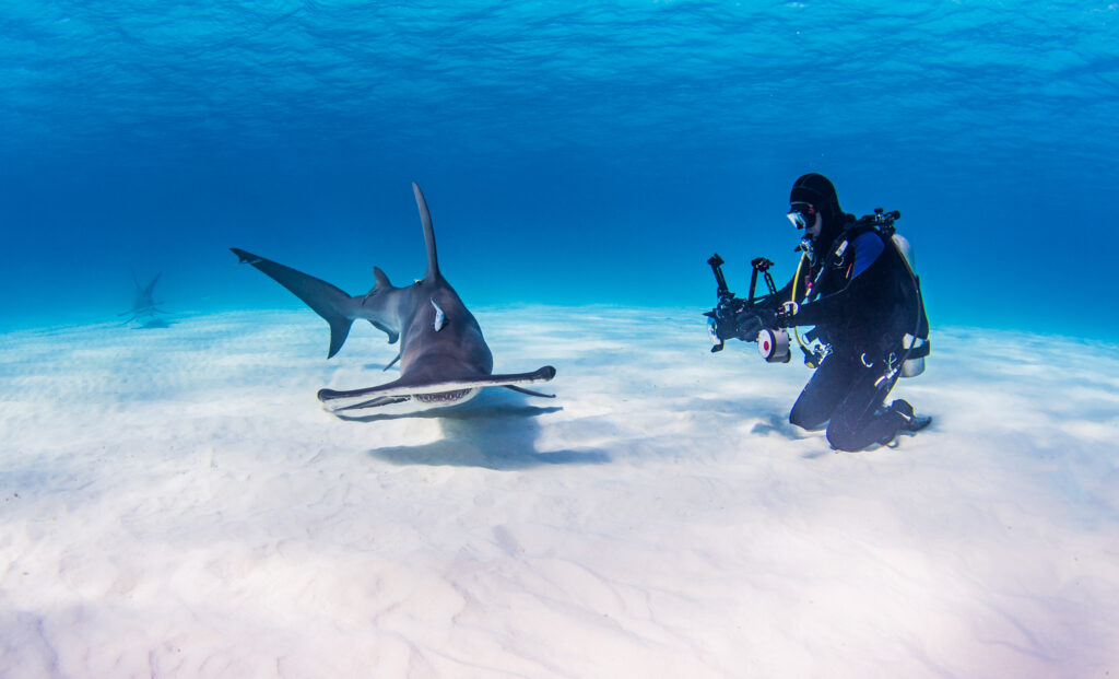 What is the Global Positioning System (GPS) for Divers? - DiverTown