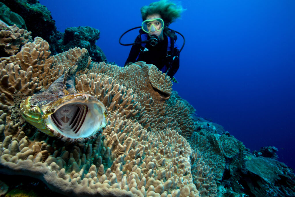 What are Hand Signals when Scuba Diving? - DiverTown