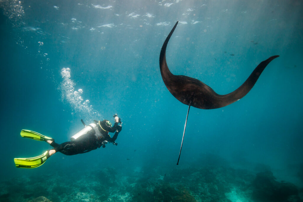 What is a Helicopter Turn when Scuba Diving, Freediving or Snorkeling ...