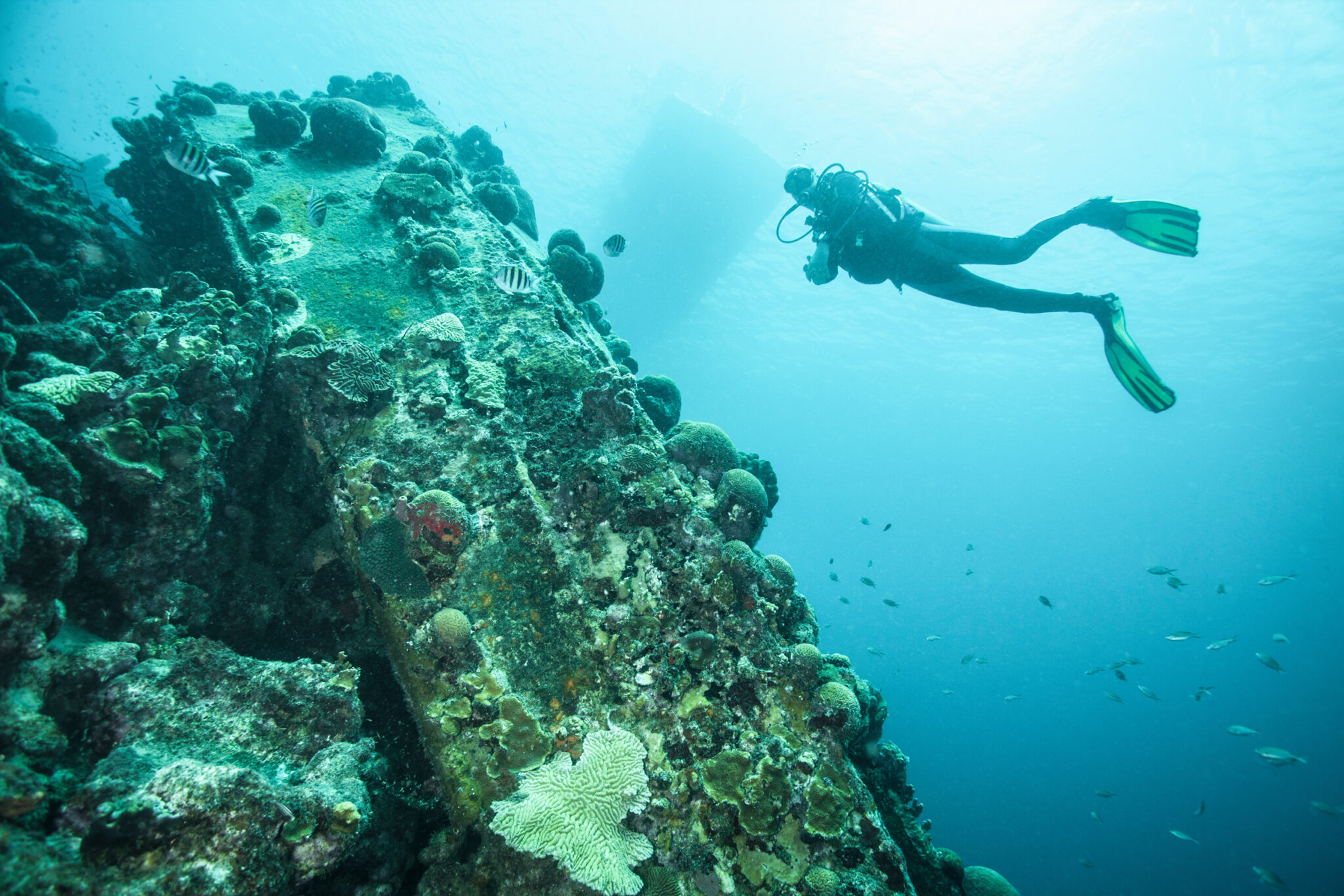 What function does Helium have in Scuba Diving? - DiverTown