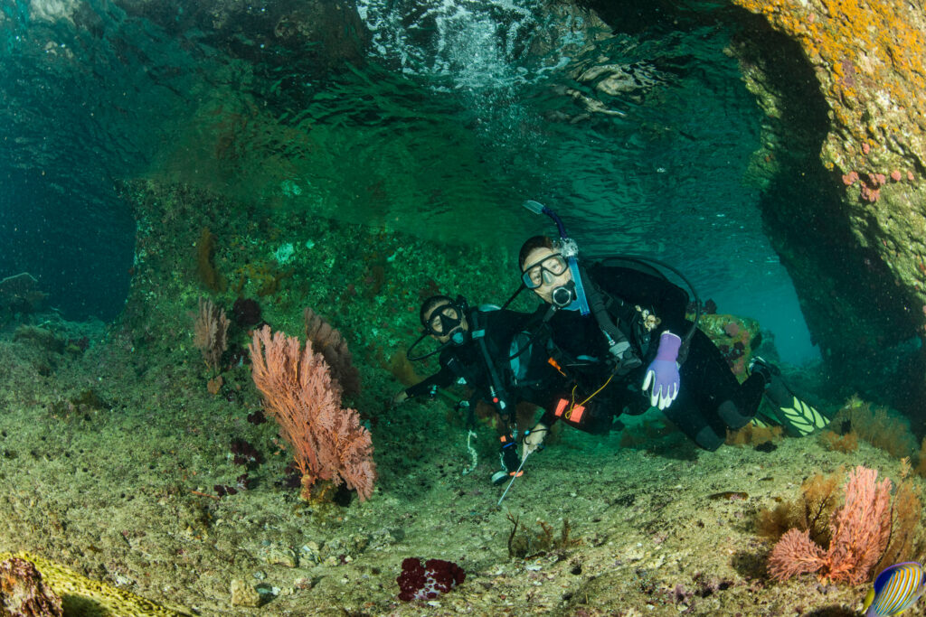 What is Hydreliox? - DiverTown