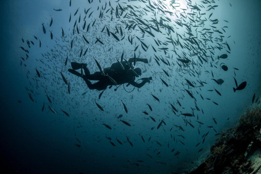 What is a Lifeline? - DiverTown