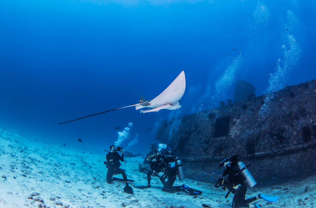 What is "Out of Air"? - DiverTown