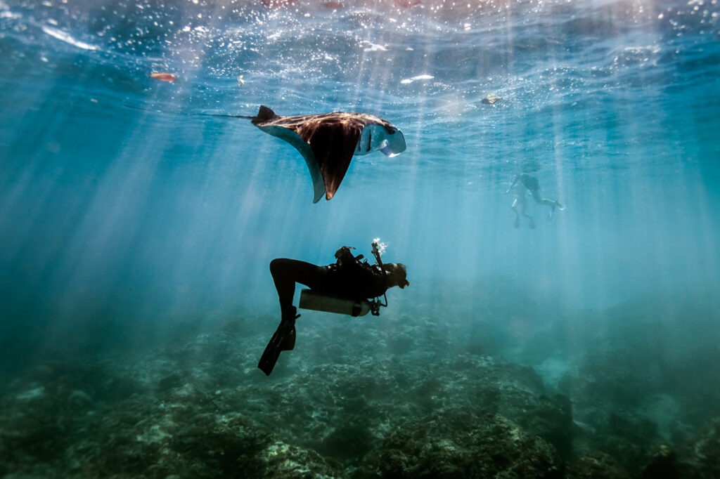 What is Open Water Diving? - DiverTown