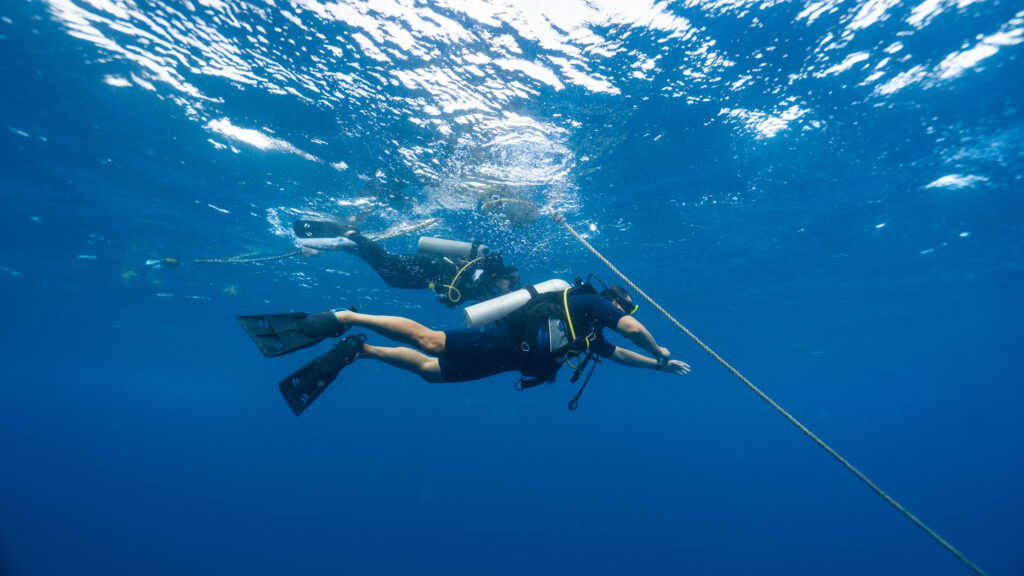 What is Panic when Scuba Diving? - DiverTown