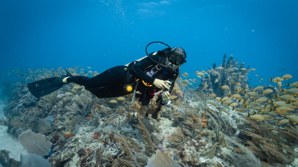 What is Rigid Inflatable Boat (RIB) for Scuba Diving? - DiverTown