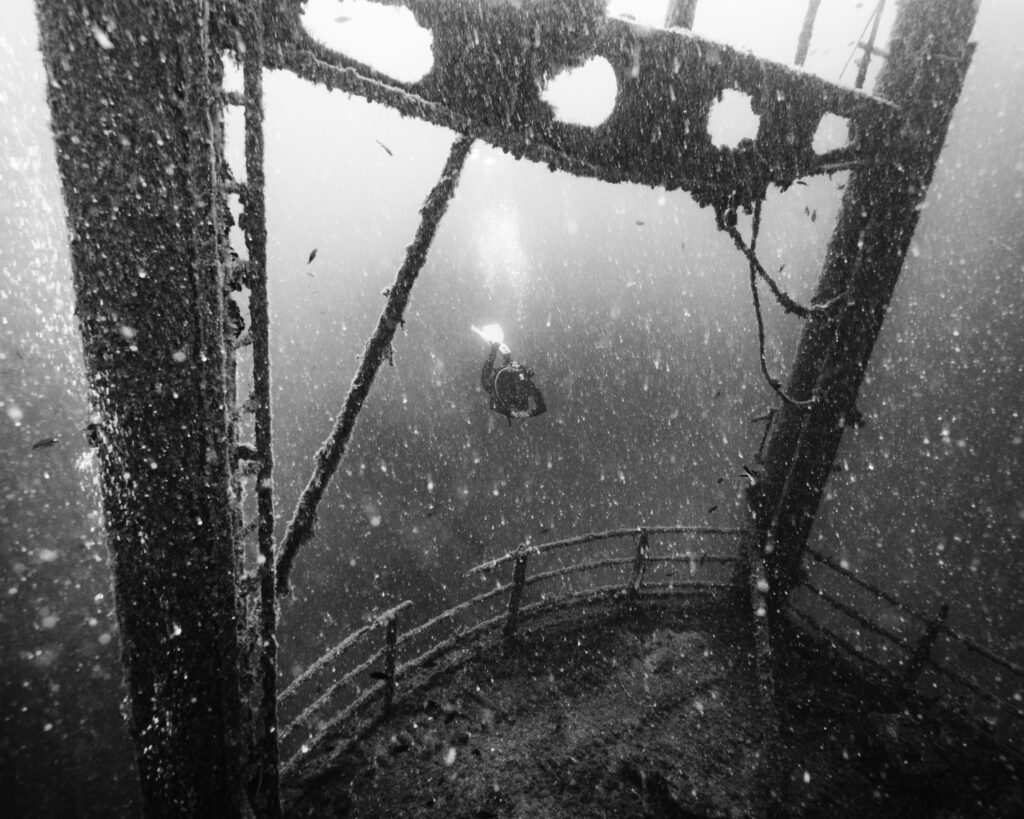 What is Integrated Weights? - DiverTown