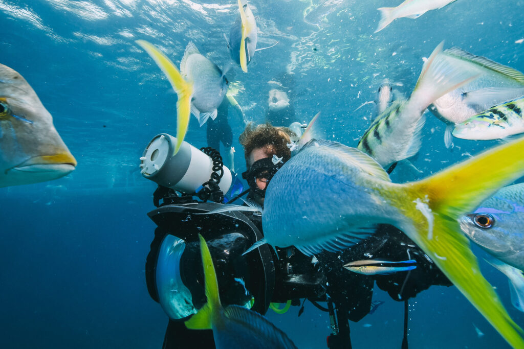 What is a A-Clamp Adaptor for Scuba Diving? - DiverTown