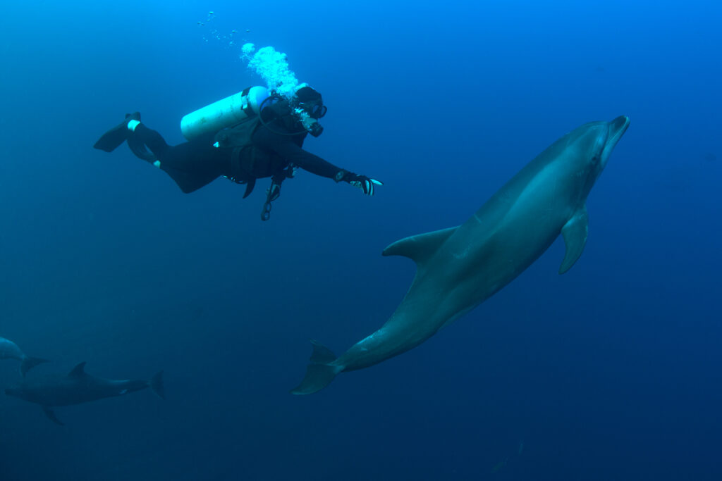 The Rise of Scuba Diving: 150 Years of Underwater Invention - DiverTown